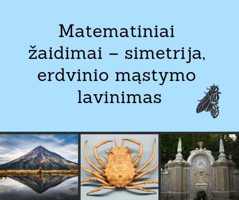 Matematiniai žaidimai – simetrija | PusėMusės